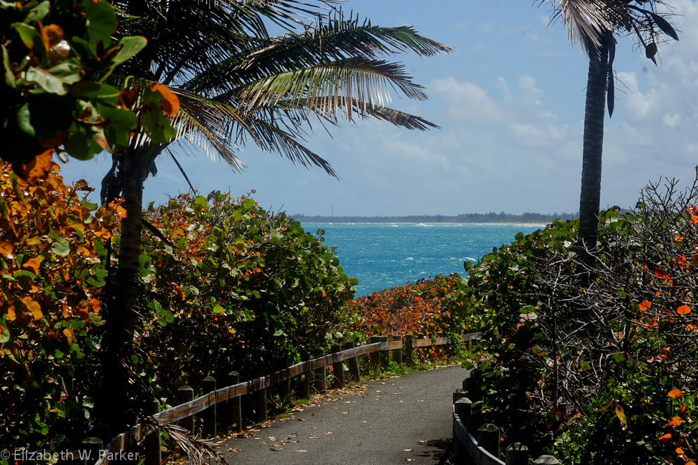 Pinones, Loiza | jetsytravels